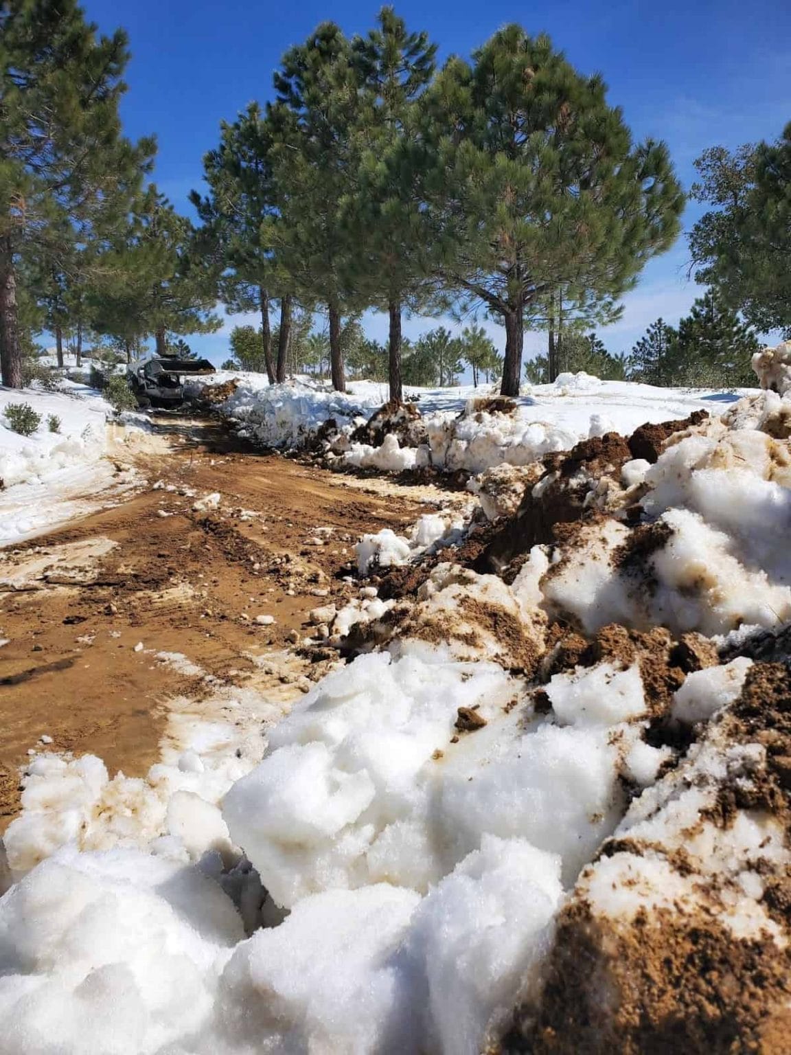 Forestry - Pauma Tribe Community