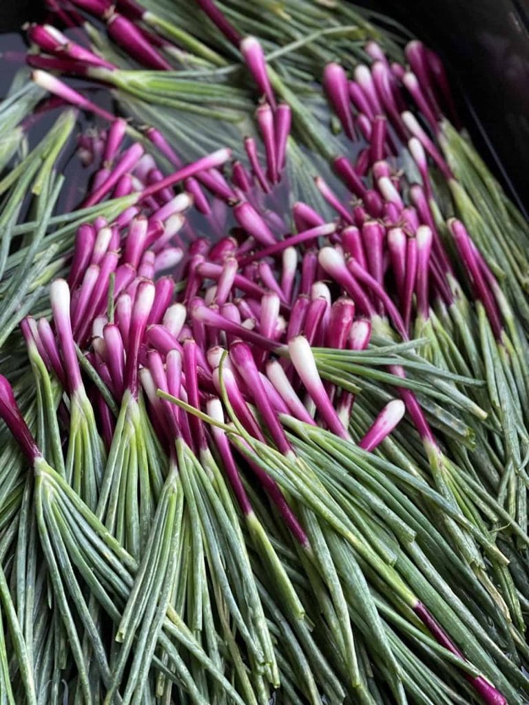 Farms - Pauma Tribe Community